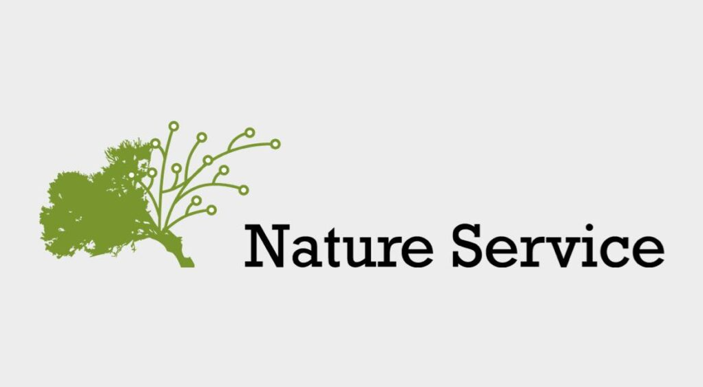 Nature Serviceとは？ | NATURES. | 自然体験・キャンプ・ワーケーション・SDGs・離島企画